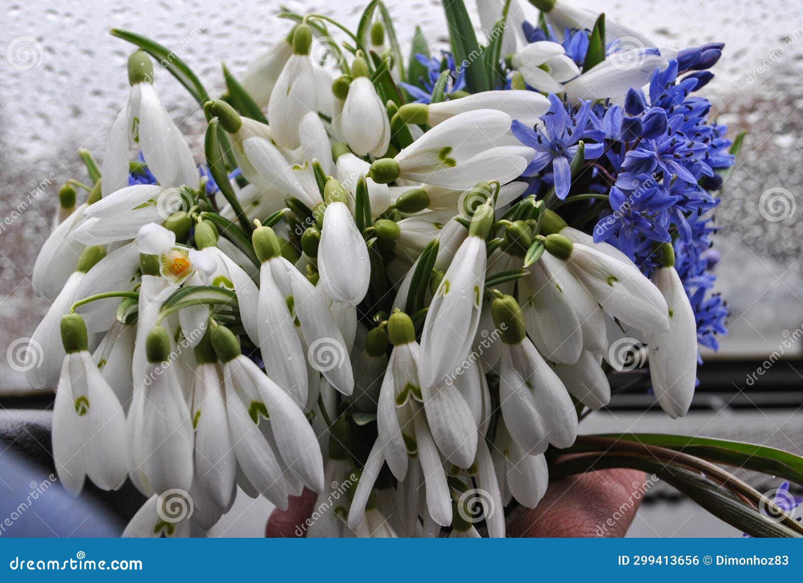 Small Bouquet of Spring Flowers Stock Photo - Image of beauty, bright ...