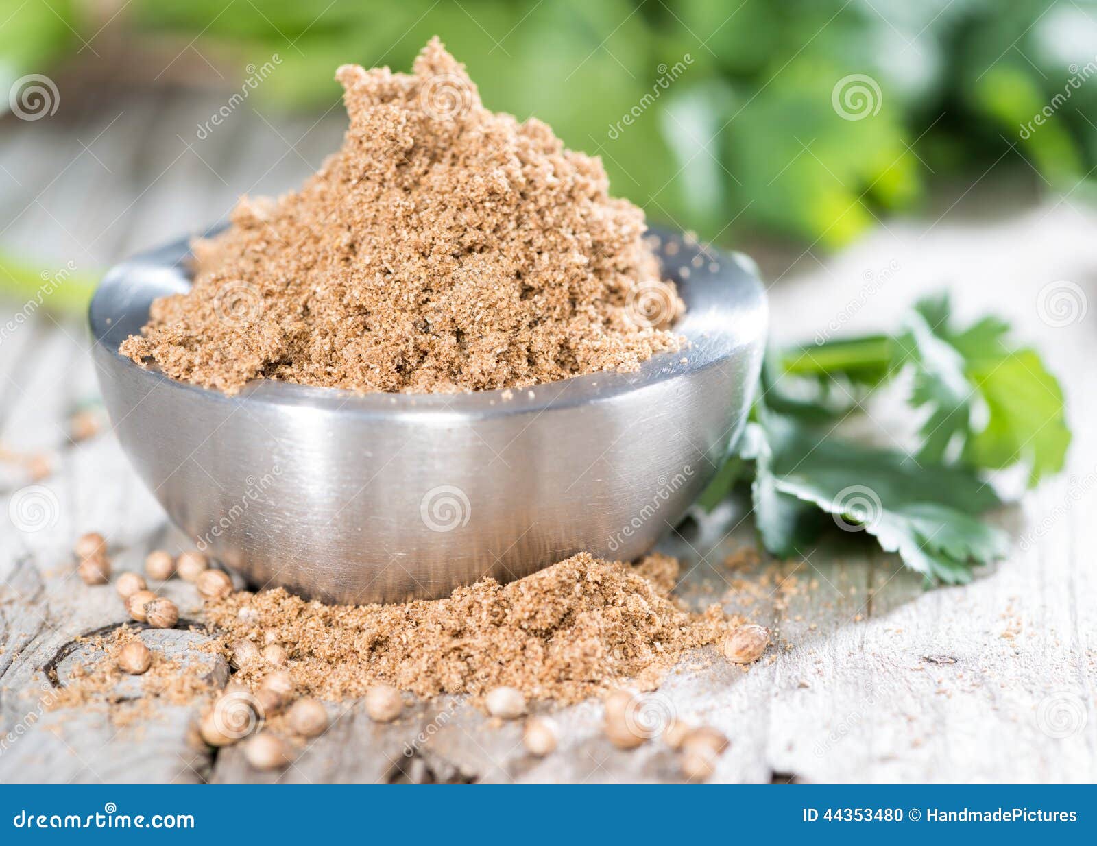 Small Bowl with Cilantro Powder Stock Photo - Image of herbal ...