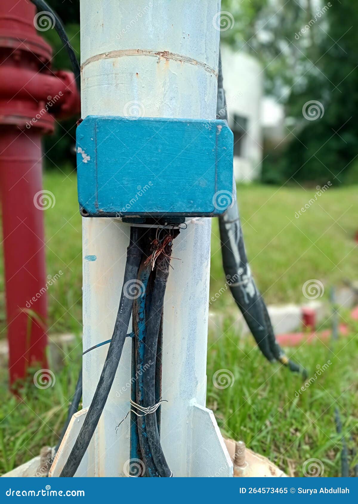 Small Box Outdoor Electrical Connection Stock Image - Image of garden ...