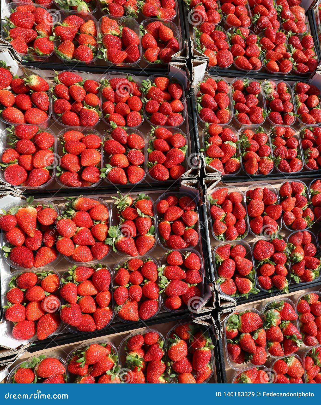Small Boxes of Red Freshly Picked Strawberries Ready for Export Stock ...