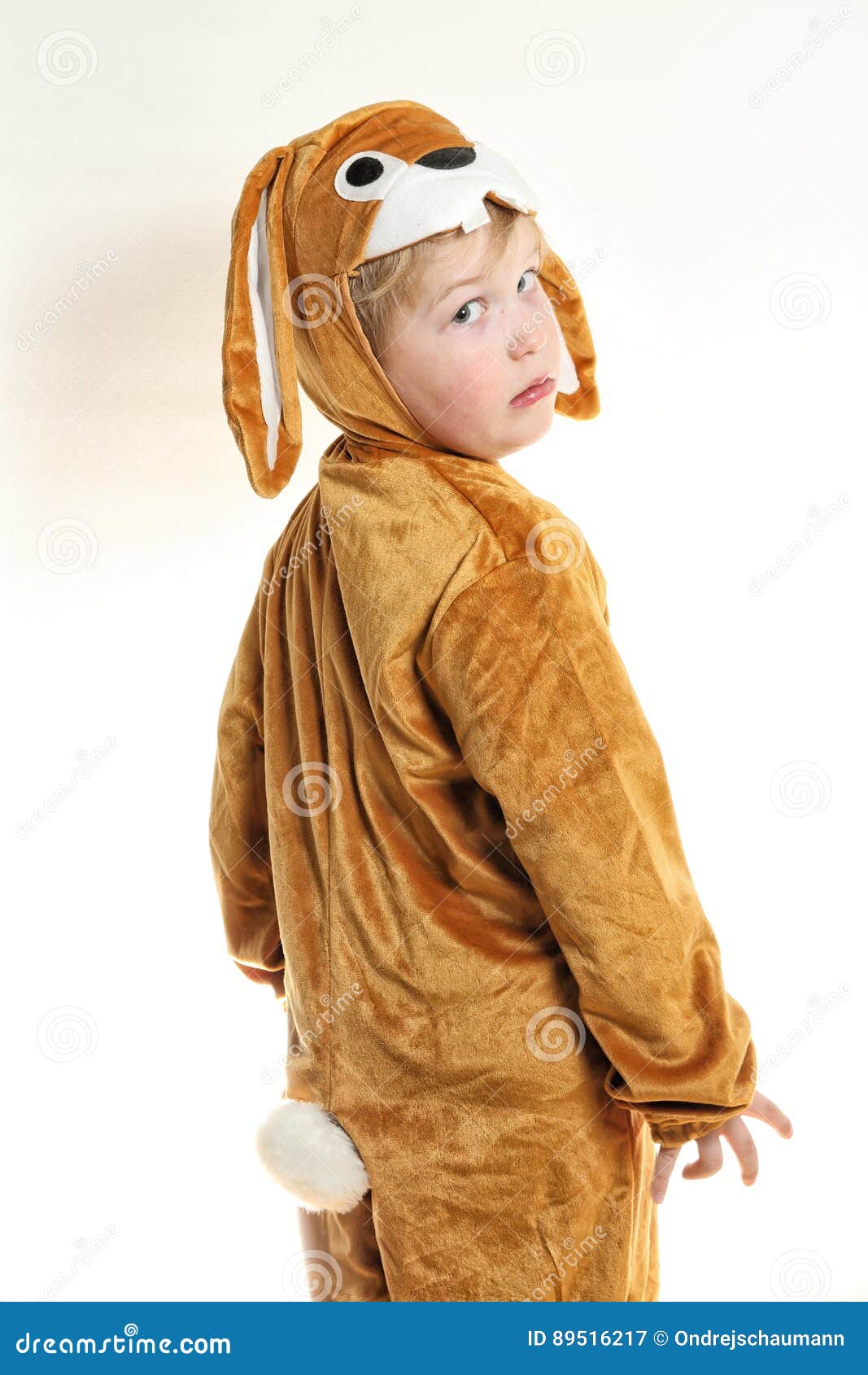 Small Boy Dressed As the Bunny Turned To the Back Stock Image - Image ...