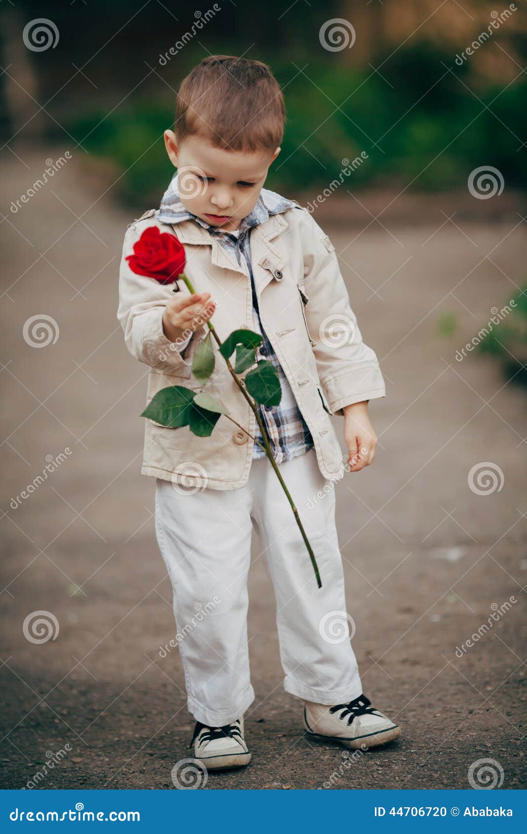 Small boy with red rose stock photo. Image of portrait - 44706720