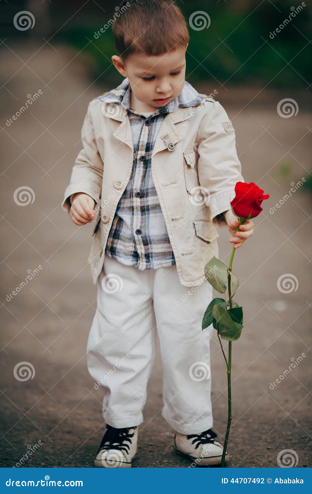Small boy with red rose stock photo. Image of male, child - 44707492