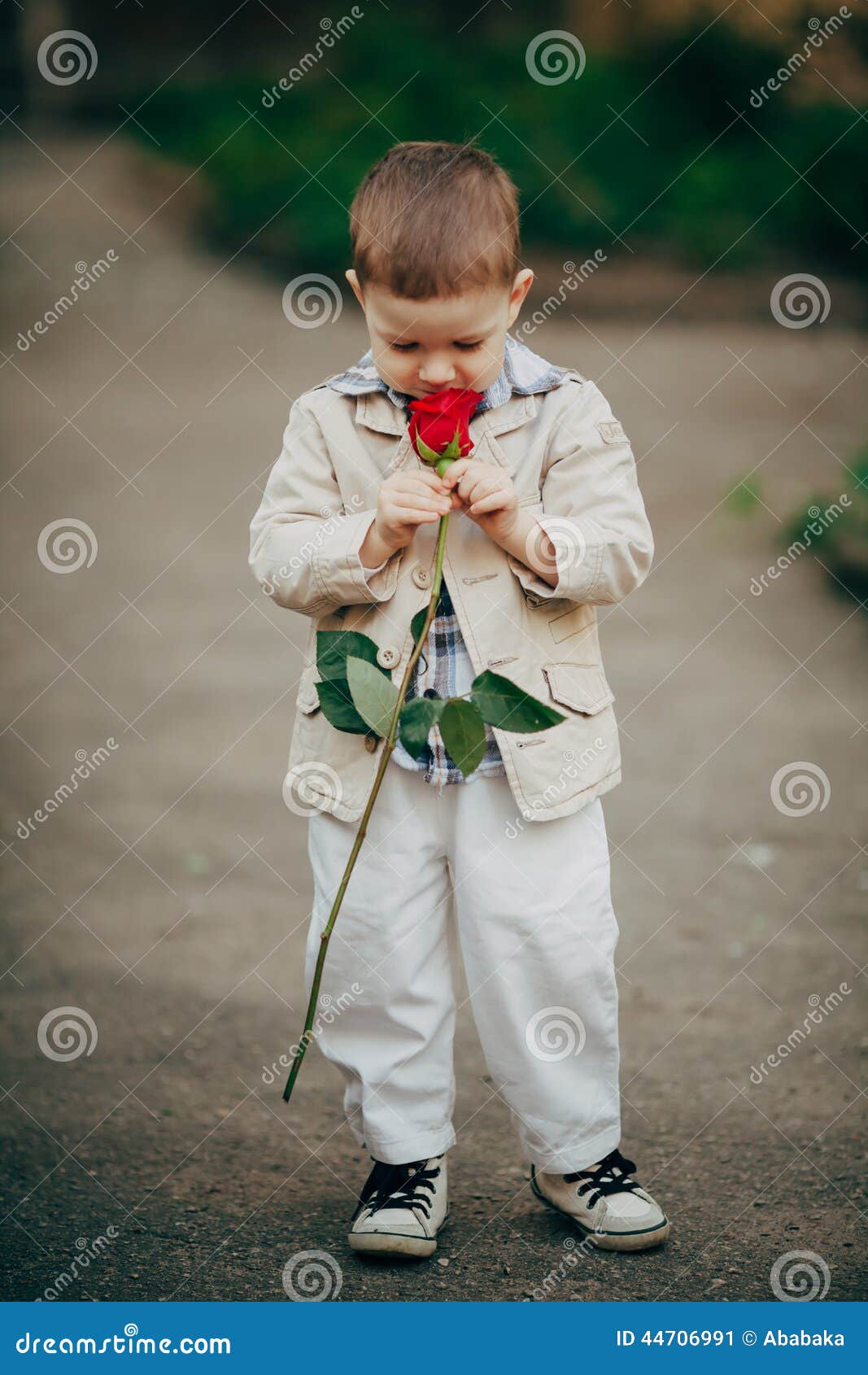 Small boy with red rose stock image. Image of valentine - 44706991