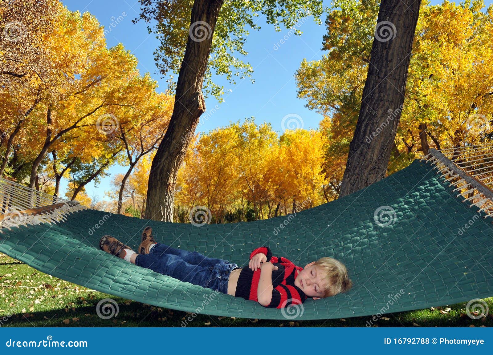 Small Boy Resting in Hammock Stock Photo - Image of seasonal, netting ...
