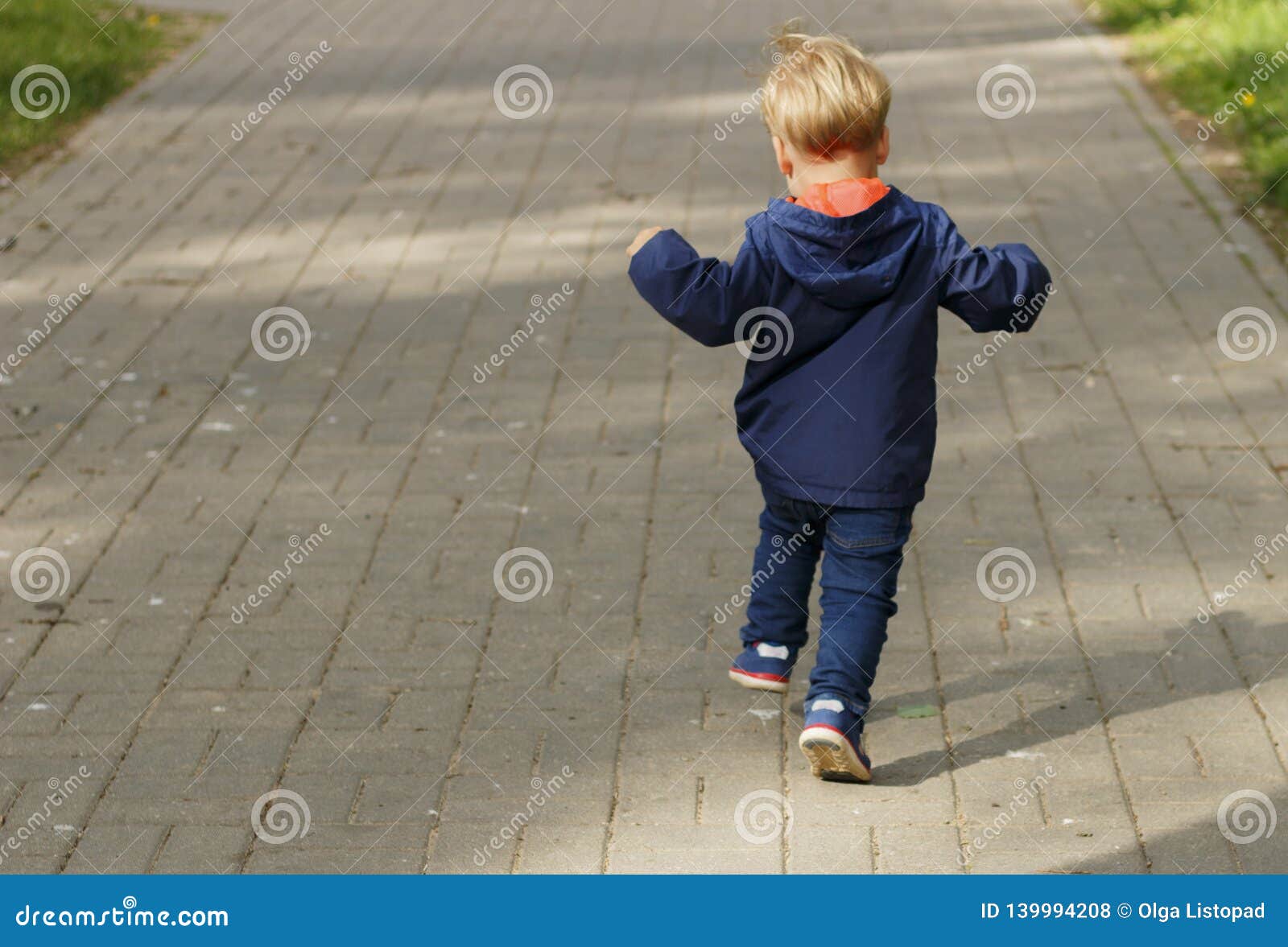 Small Boy Running in the Park. Back View of Toddler on the Walk in the ...