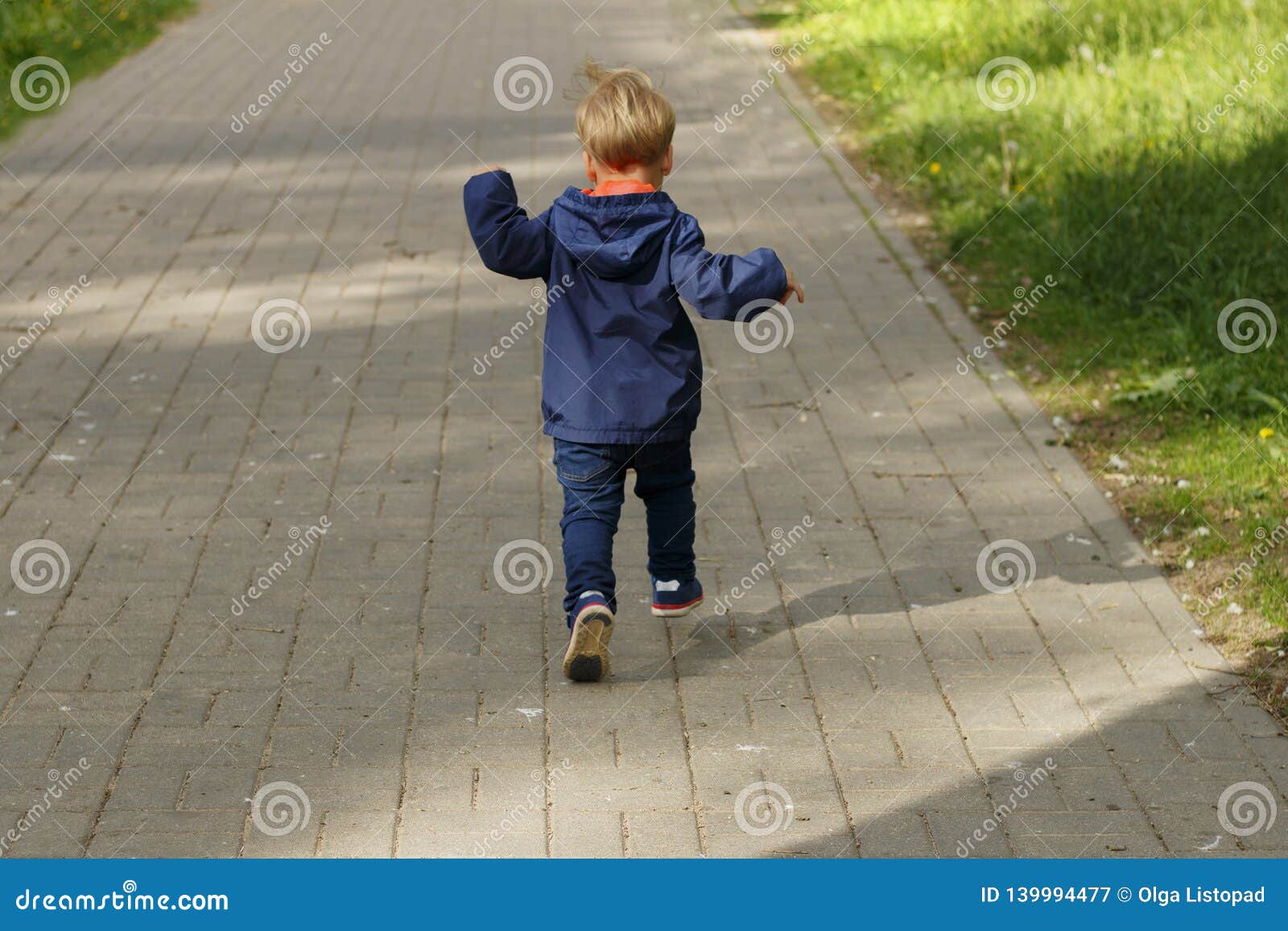 Small Boy Running in the Park. Back View of Toddler on the Walk in the ...