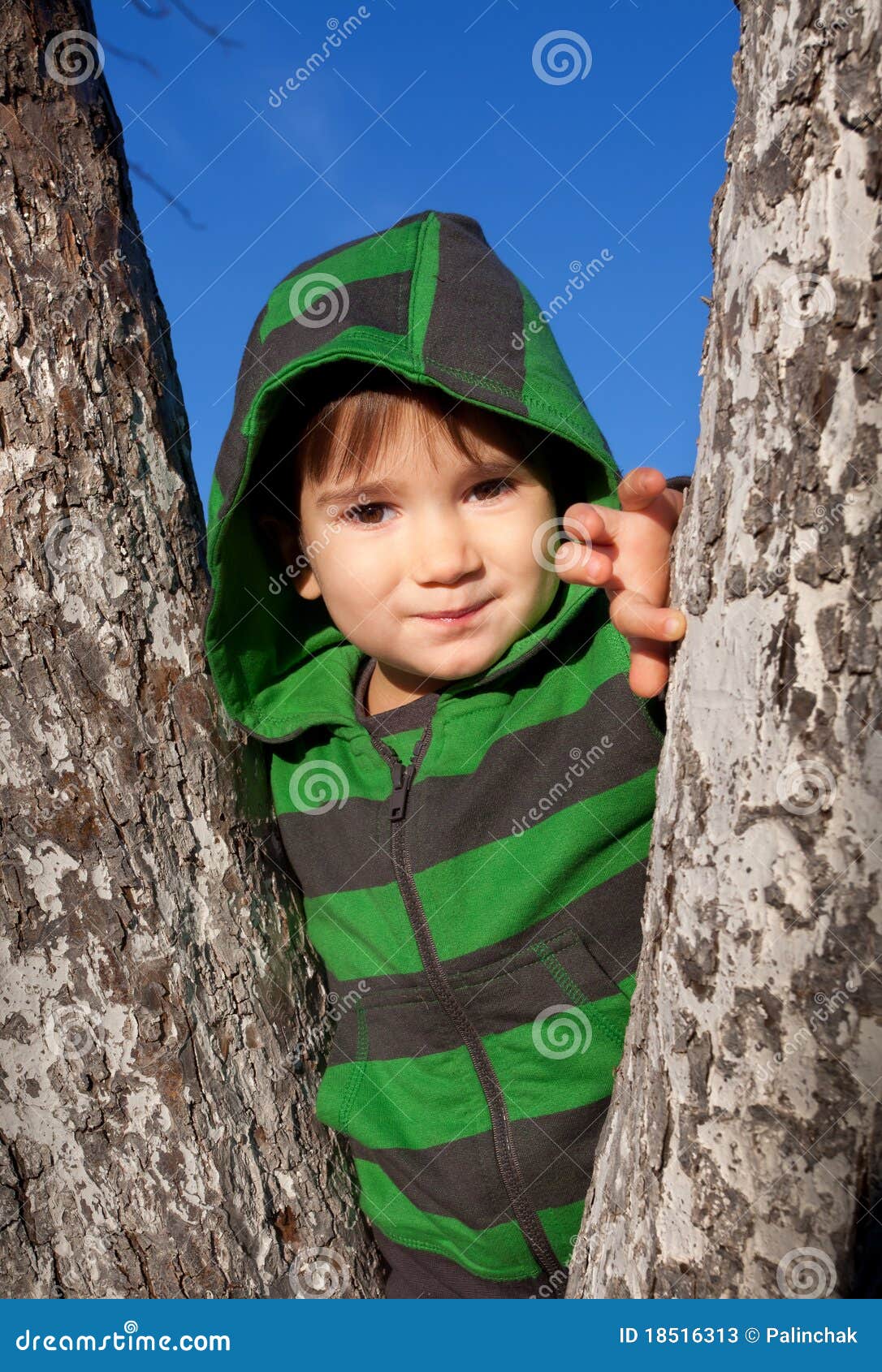 A Small Boy Standing between Trees Stock Image - Image of caucasian ...