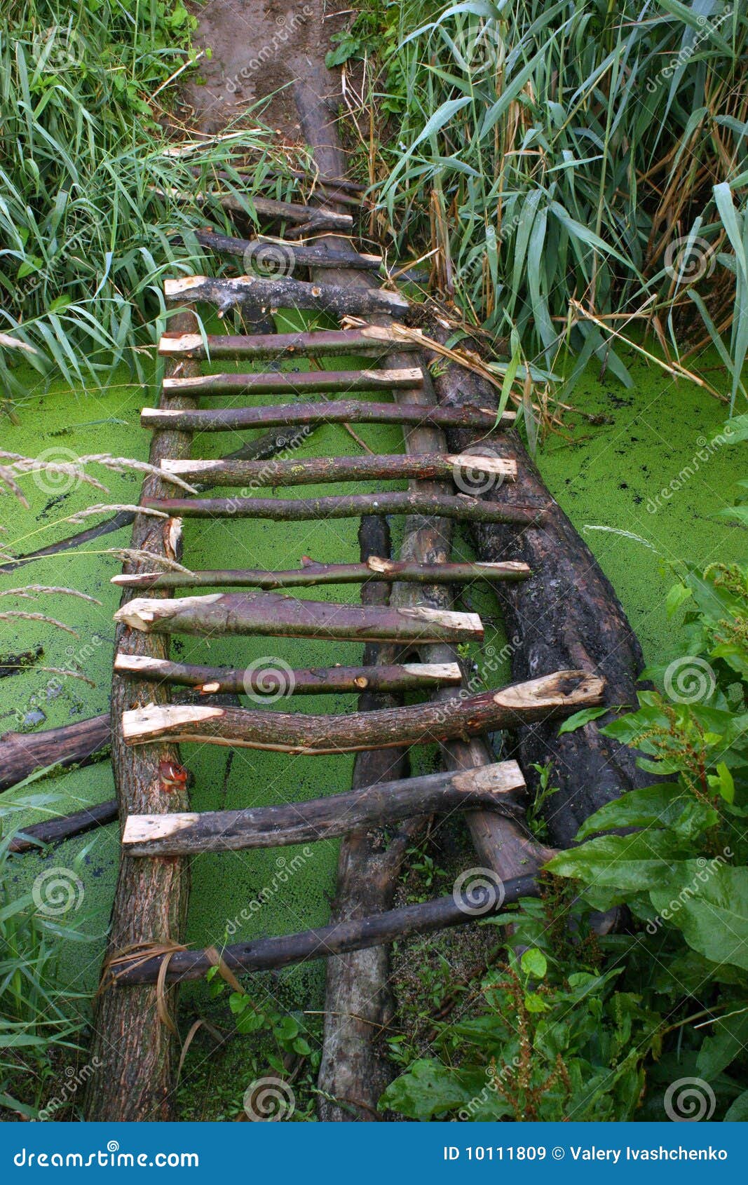 Small bridge stock image. Image of brook, country, fall - 10111809