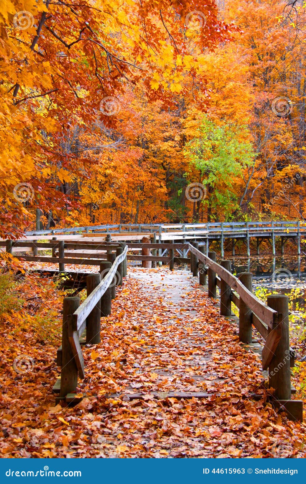 Small Bridge through Autumn Trees Stock Image - Image of leaf, trail ...