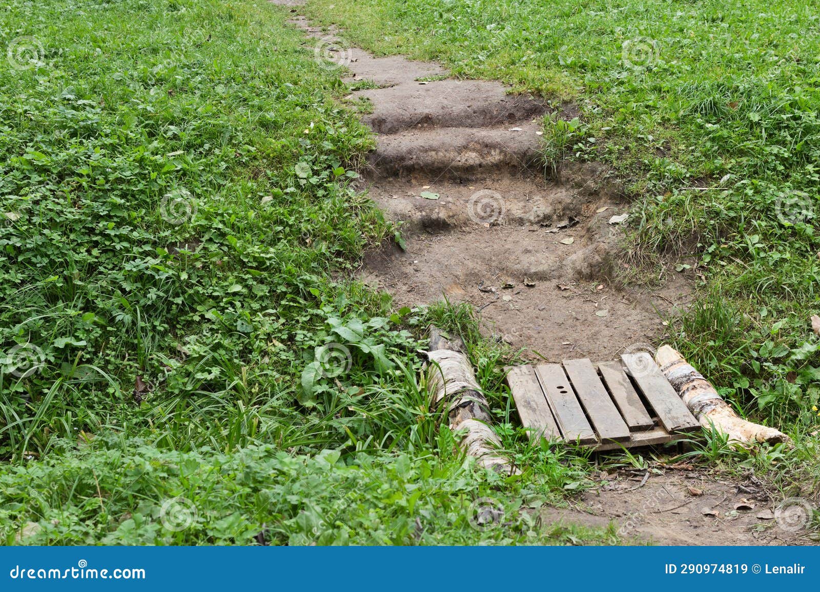 Small Bridge from the Boards through the Drainage Groove Stock Image ...