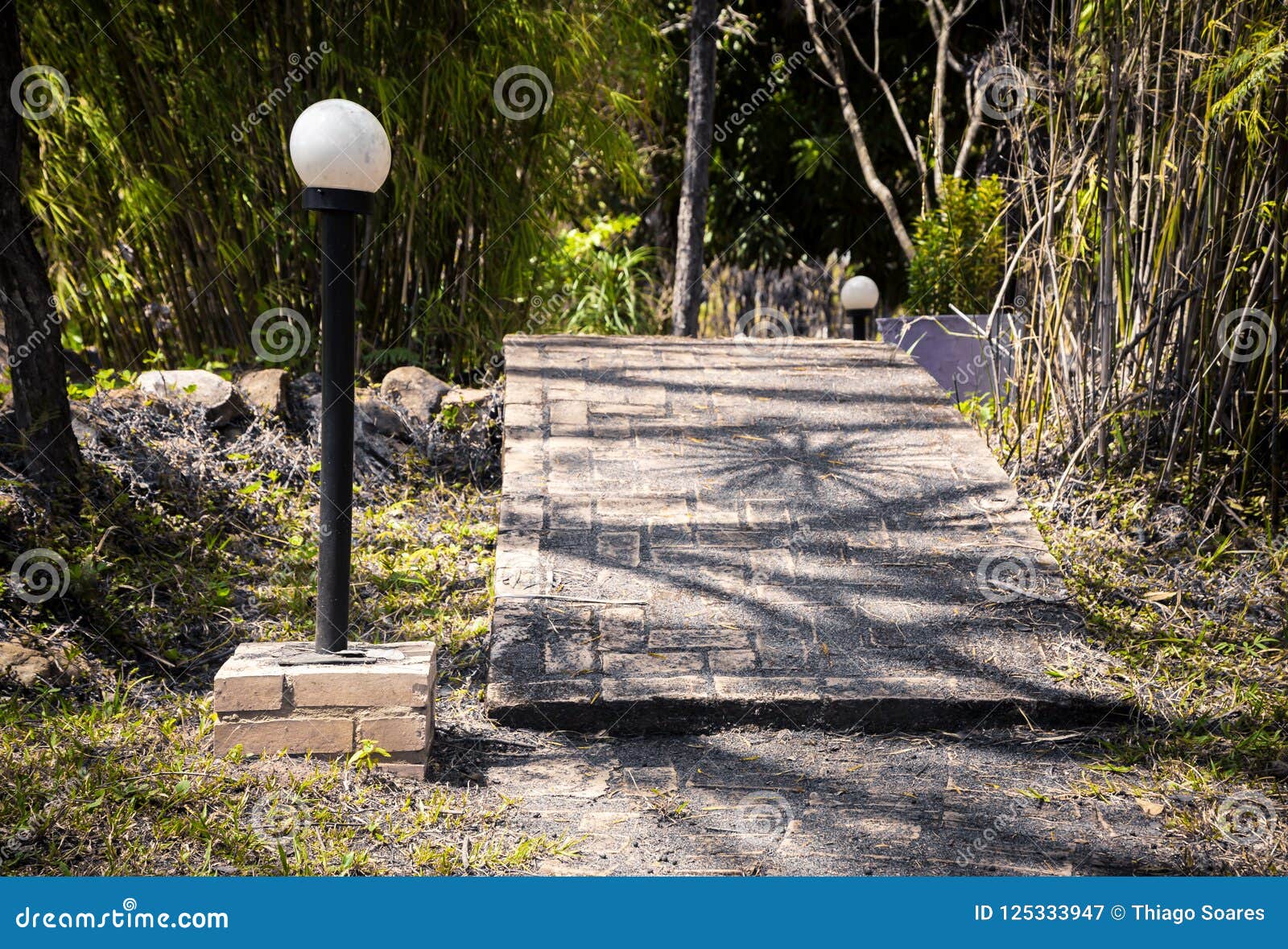 Front View of a Small Bridge in a Garden Stock Image - Image of pathway ...