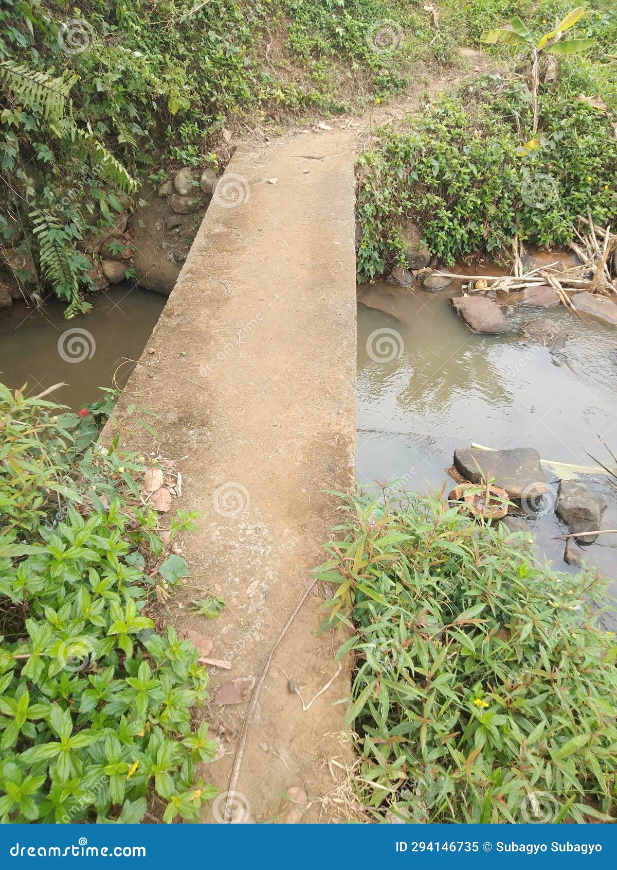 Small Bridge Connecting Two Areas Editorial Image - Image of woodland ...