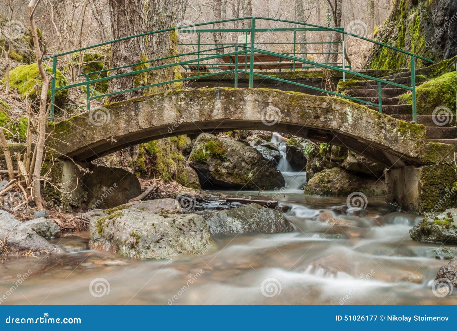 Small bridge in the forest stock image. Image of forest - 51026177