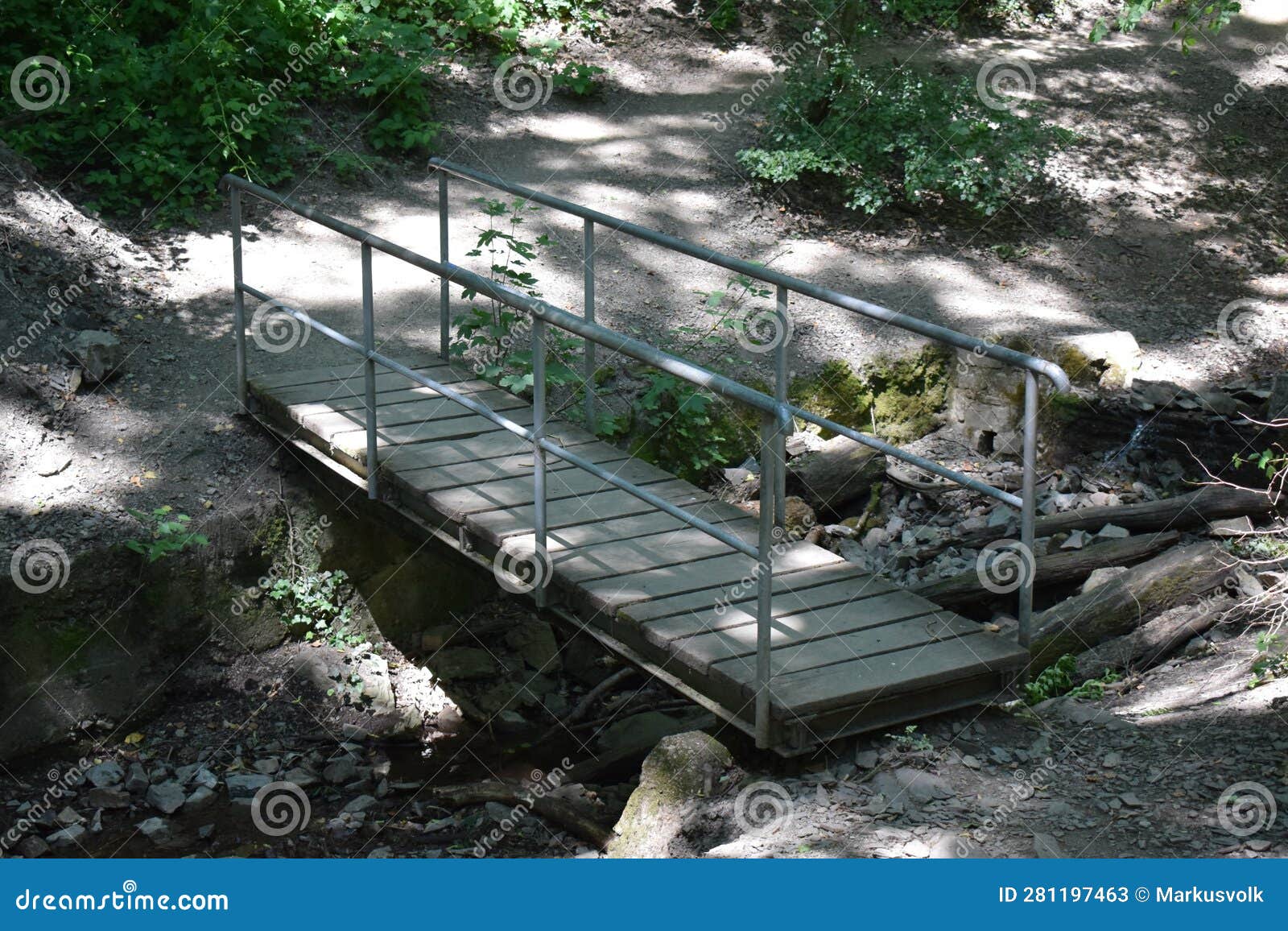 Small Bridge in the Forest stock image. Image of water - 281197463