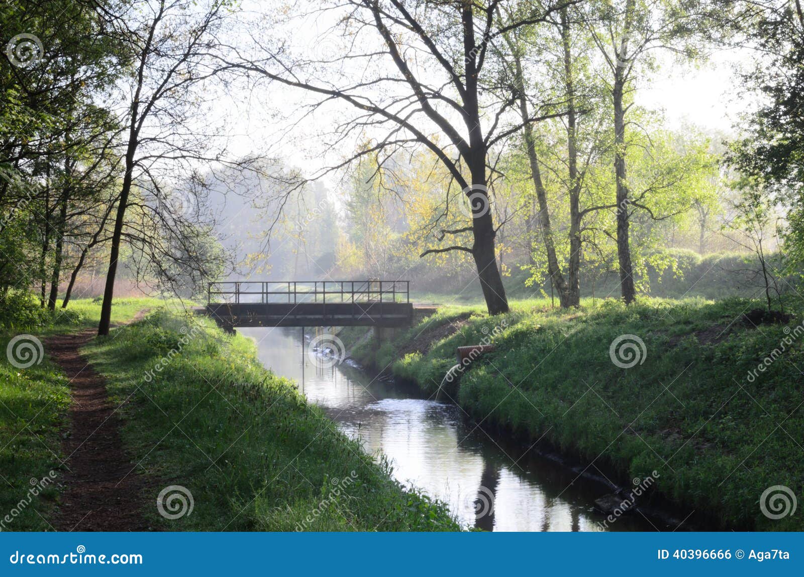 Small bridge in forest stock photo. Image of foliage - 40396666