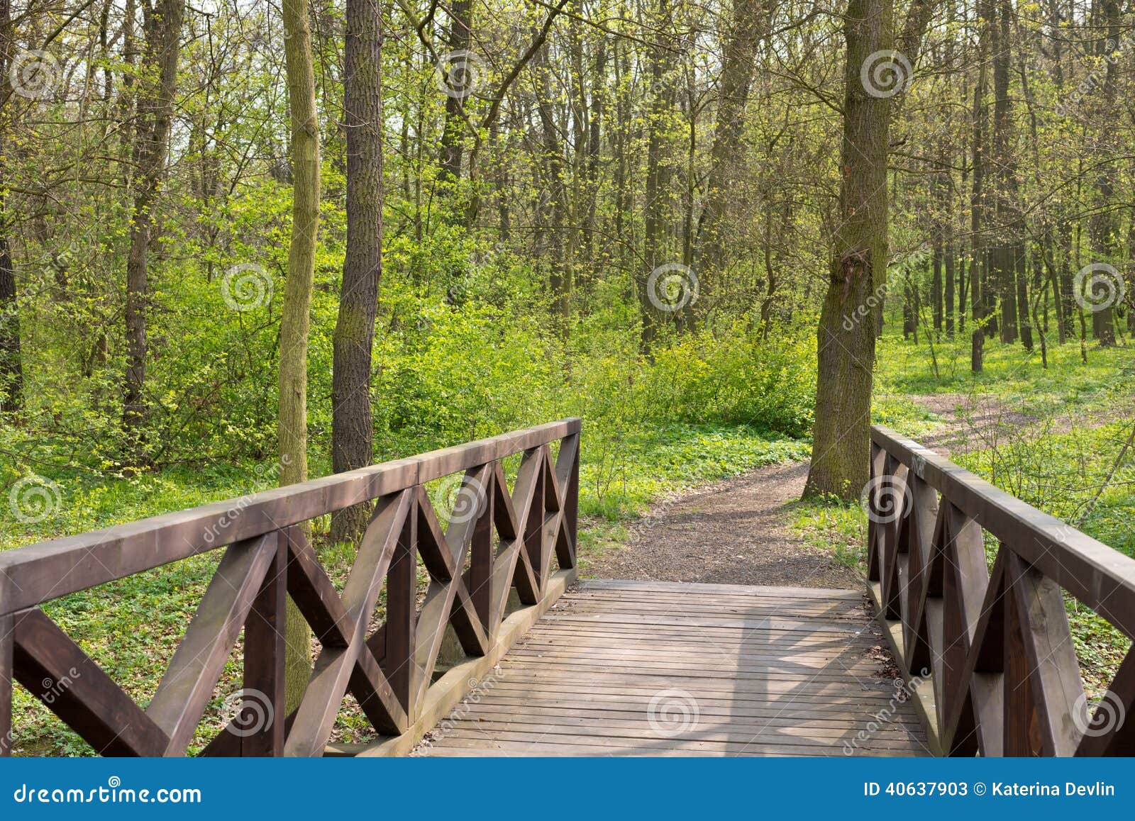 Small bridge in the forest stock image. Image of landscape - 40637903