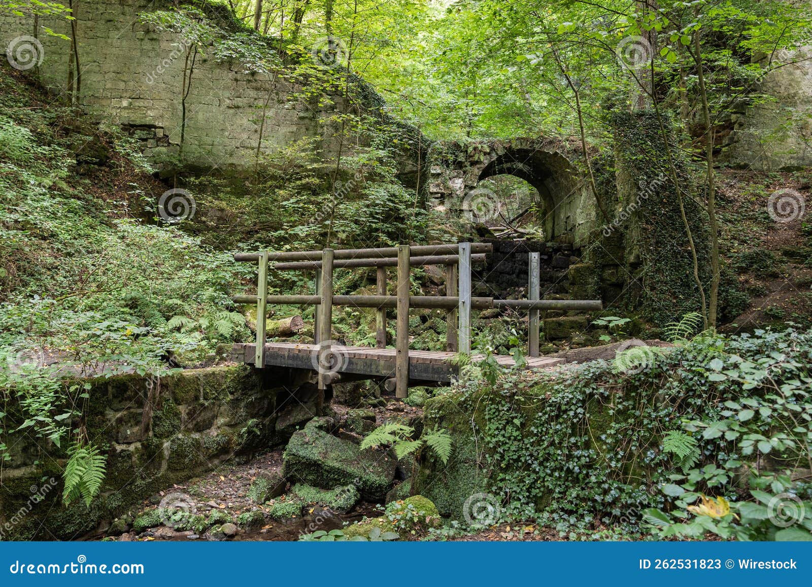 Small Bridge in the Forest Surrounded by Fresh Greenery Stock Image ...