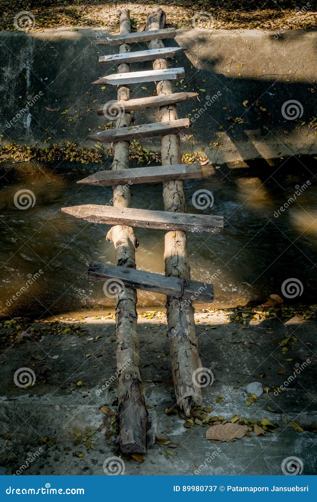 Small bridge in garden stock image. Image of nature, natural - 89980737