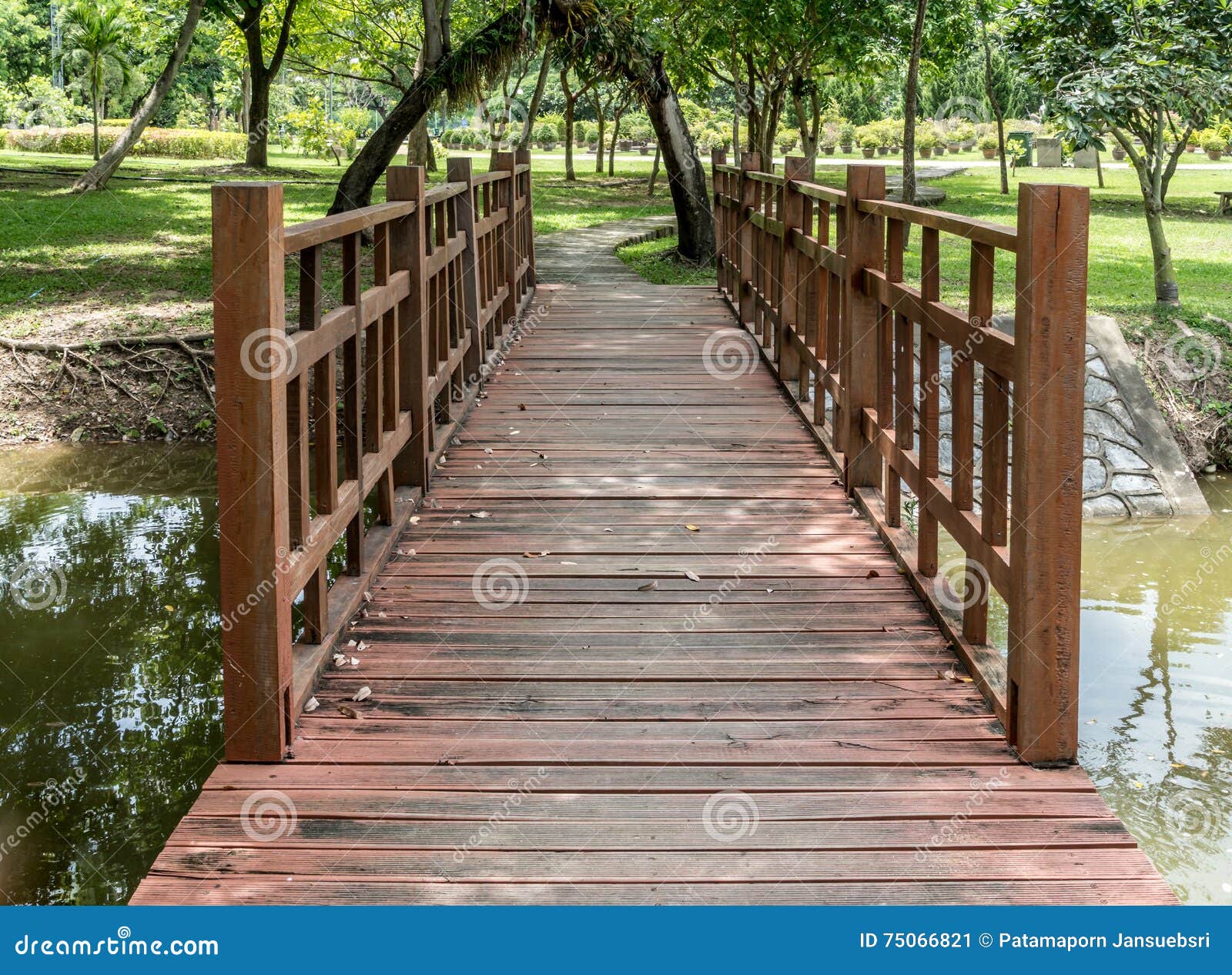 Small bridge in garden stock image. Image of tree, stream - 75066821