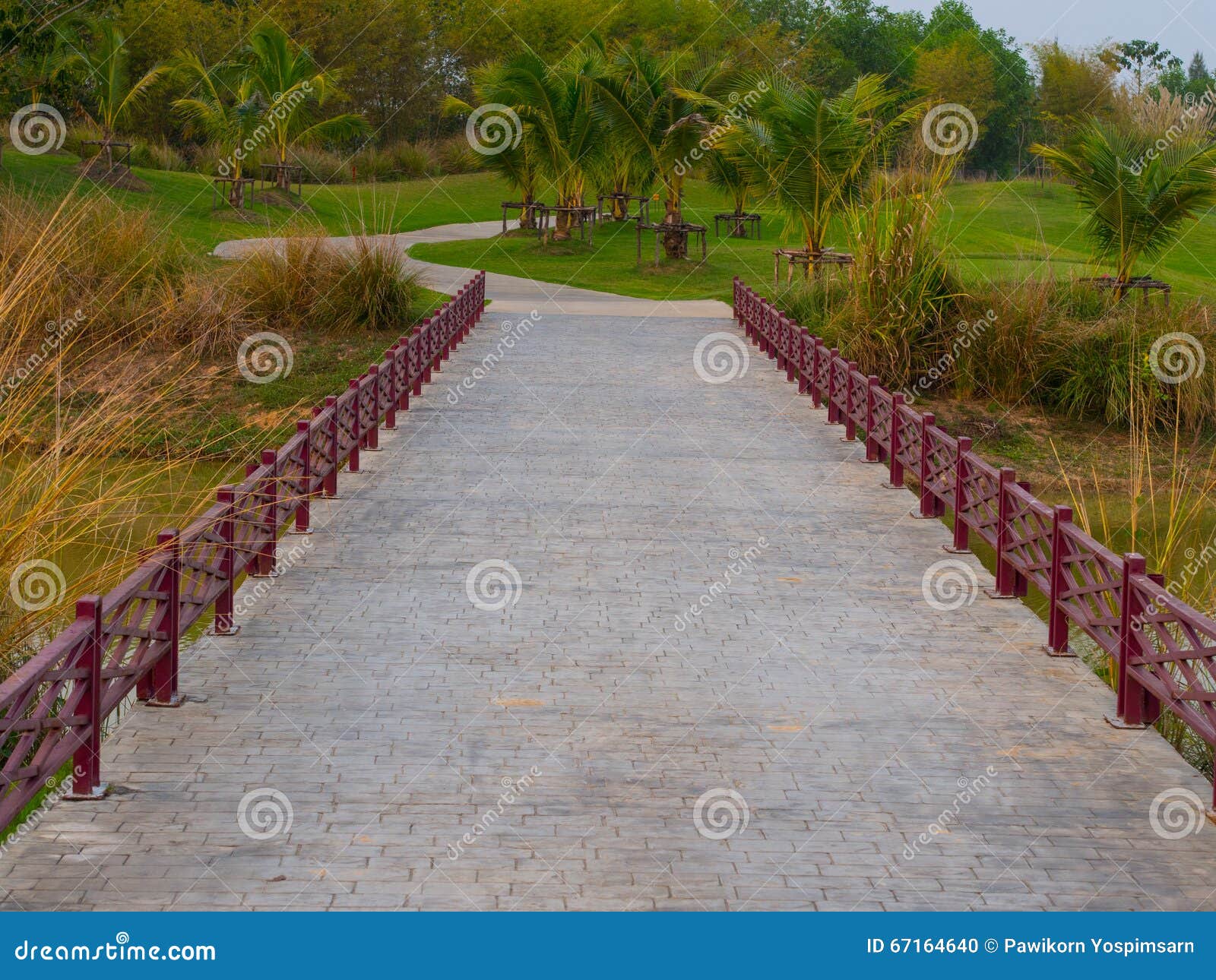 Small Bridge in Golf Course Park Stock Photo - Image of bridge ...