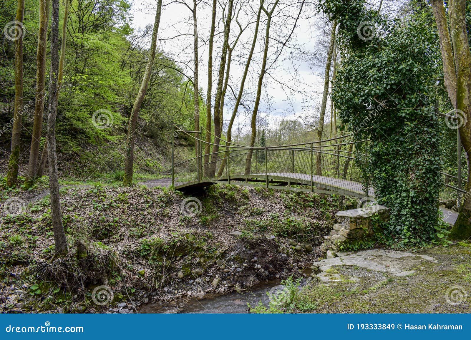A Small Bridge in the Green Park Stock Image - Image of forest3, horse4 ...