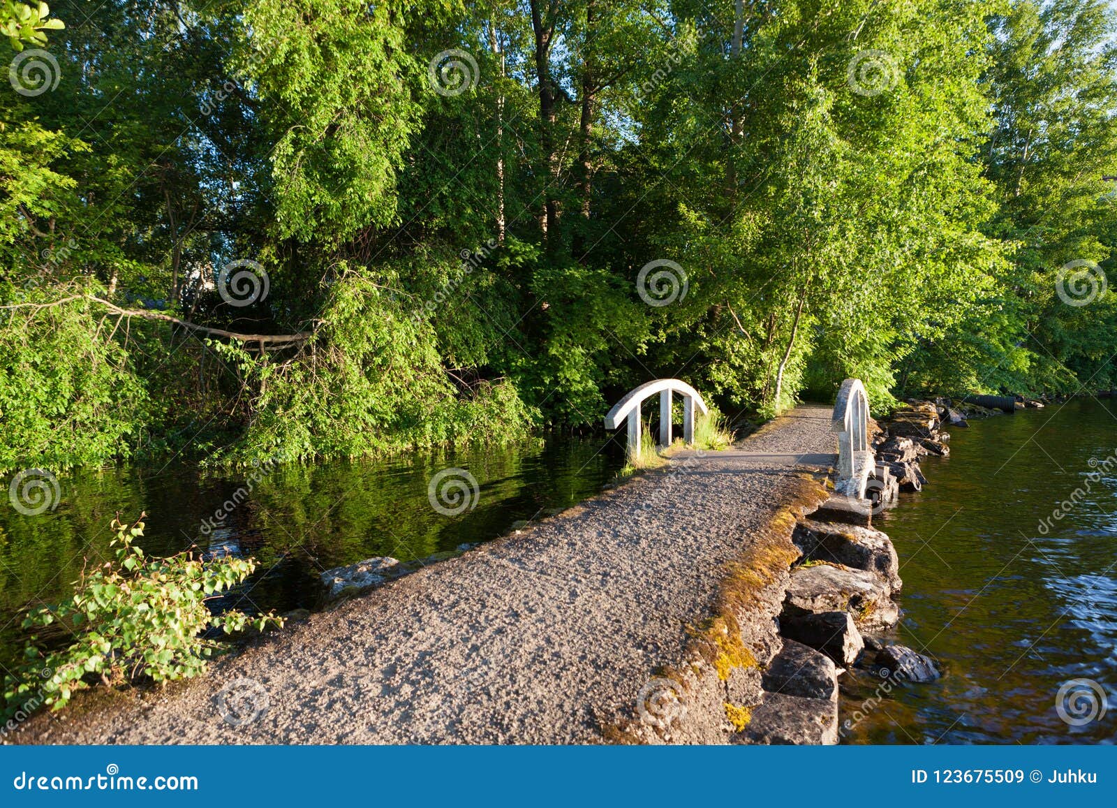 Small Bridge at Lakeside Park Stock Image - Image of foliage, park ...