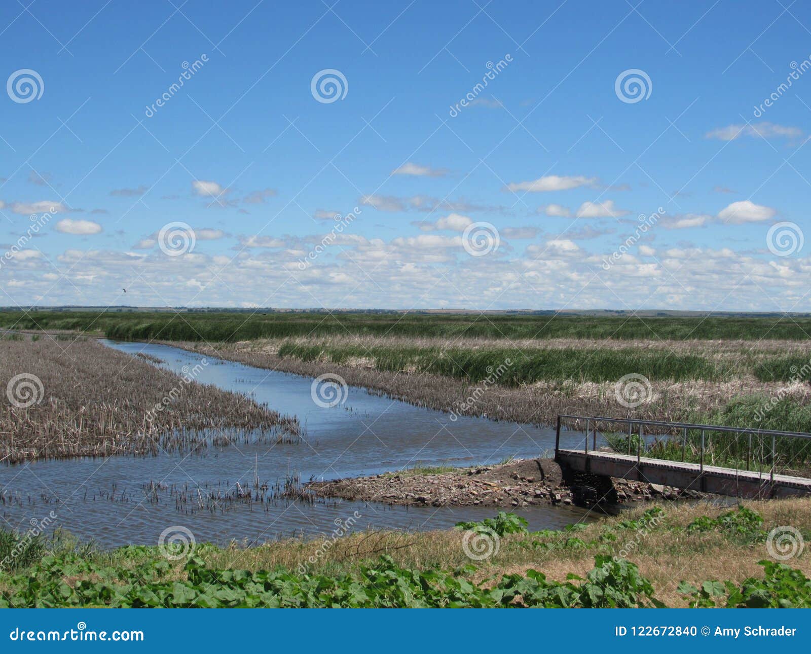 Stream stock photo. Image of flowing, small, stream - 122672840