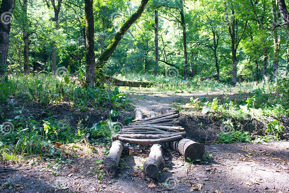 Small bridge made of logs stock image. Image of logs - 237730817