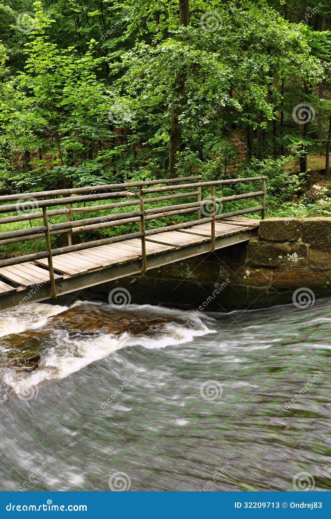 A Small Bridge Over a Creek Stock Image - Image of leaf, bridge: 32209713