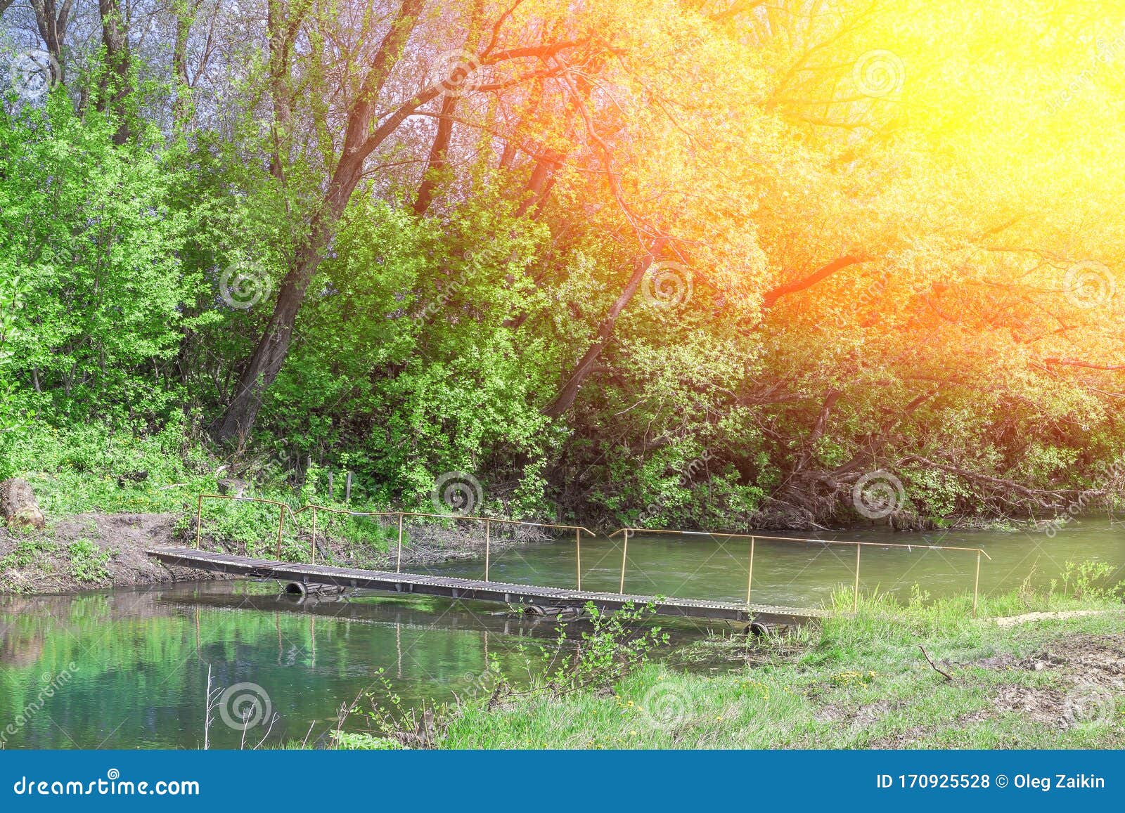 A Small Bridge Over a Forest River. Spring is a Sunny Day Stock Photo ...