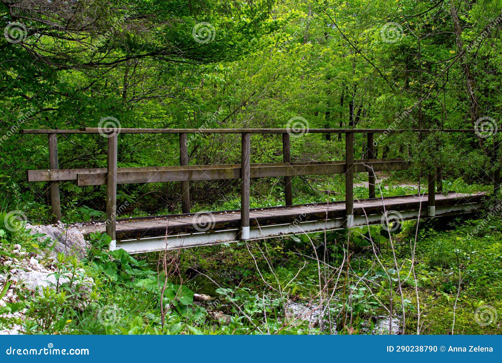 Small Bridge Over a Forest Stream in the Austrian Alps Stock Photo ...