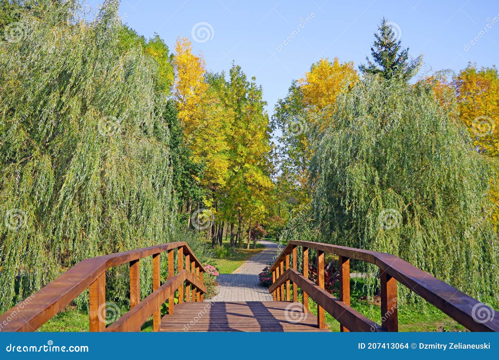 A Small Bridge Over a Pond in the Park Stock Photo - Image of river ...
