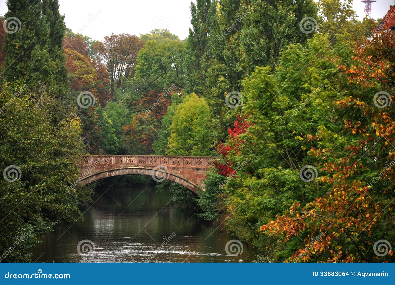 Small bridge stock photo. Image of high, hike, grass - 33883064