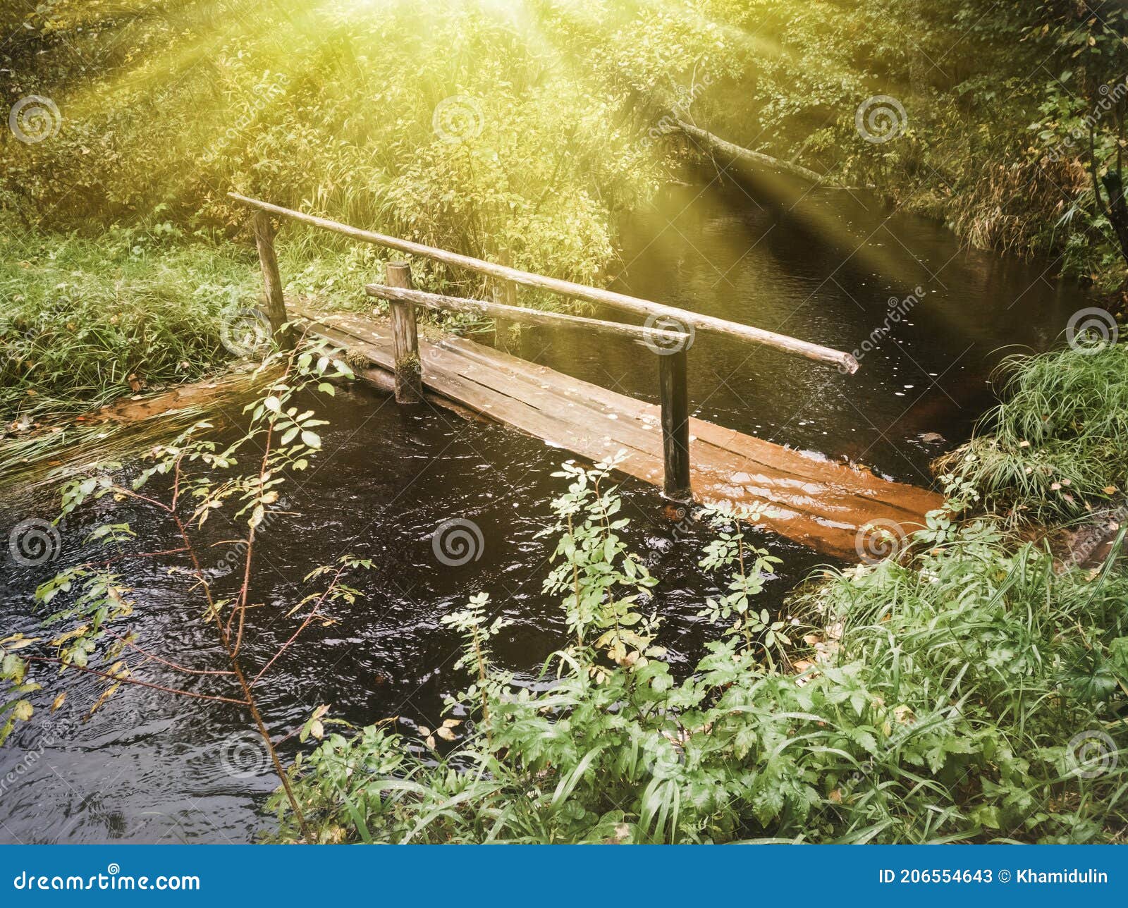 Small Bridge Over River in Forest on Sunset Background Stock Image ...