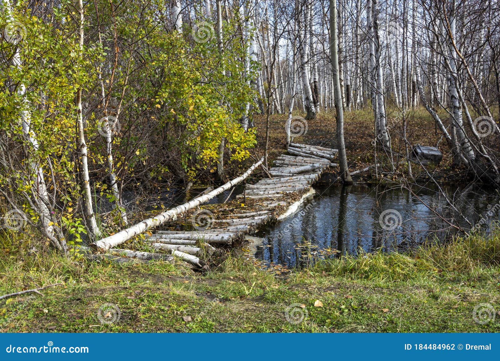 Small Bridge Over the Stream Stock Photo - Image of green, view: 184484962