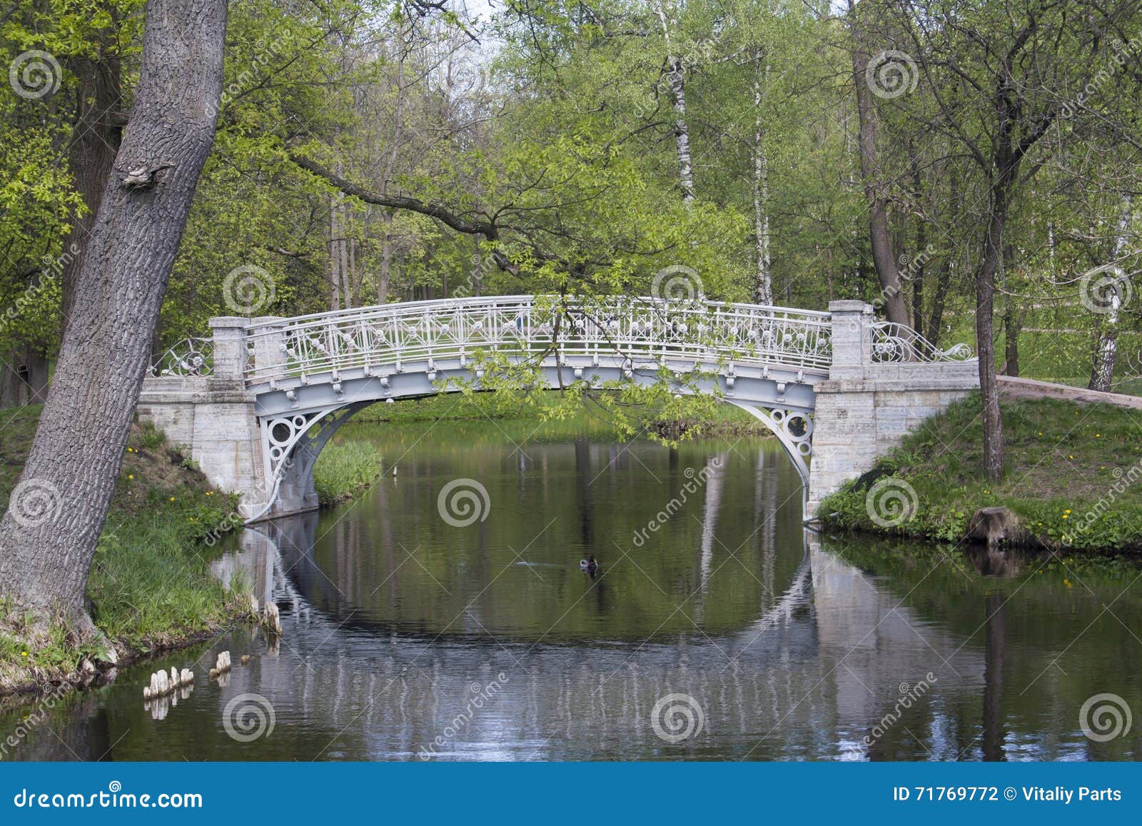 A small bridge stock photo. Image of park, water, landscape - 71769772