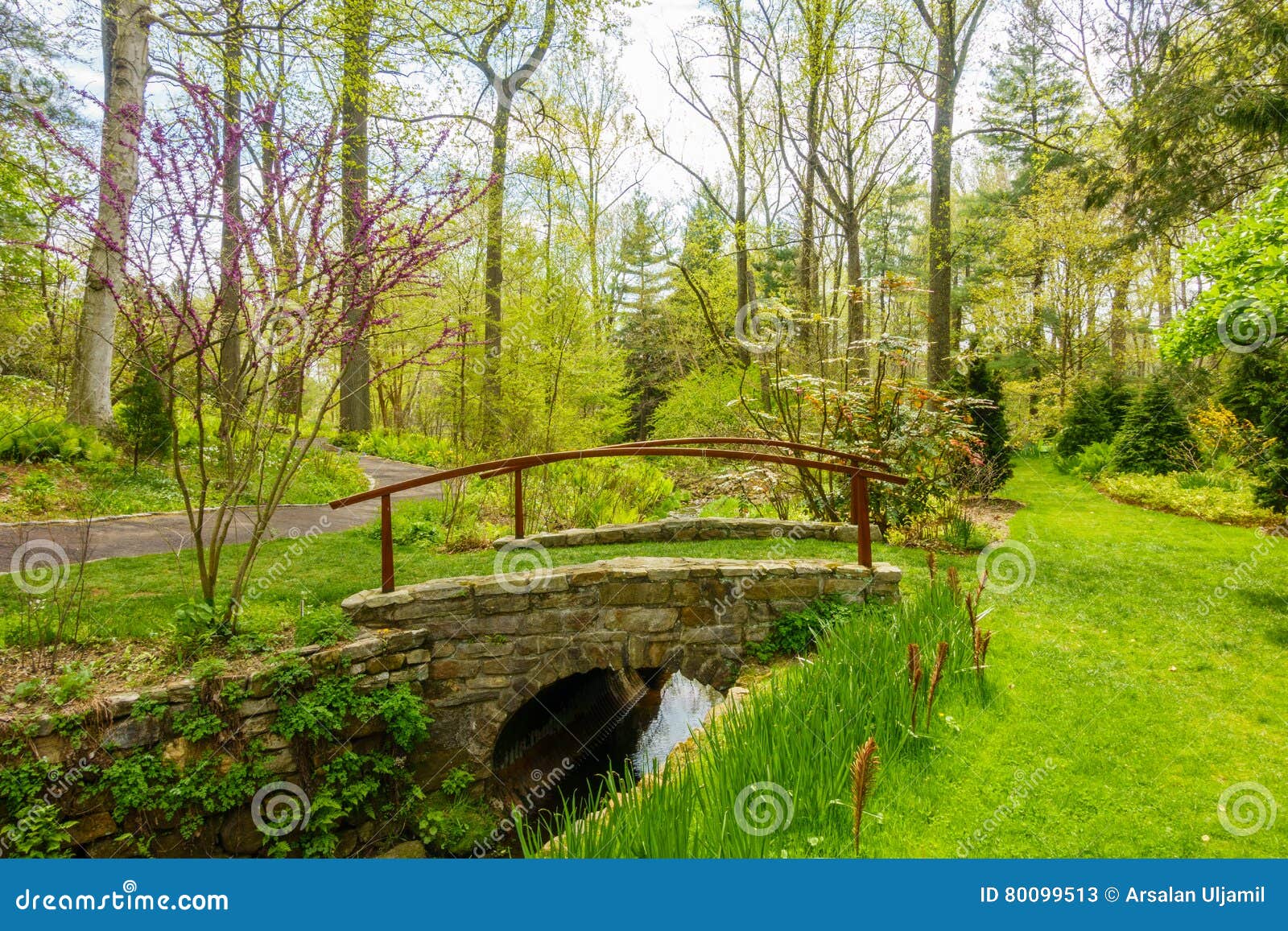 Small bridge over a stream stock image. Image of walkway - 80099513