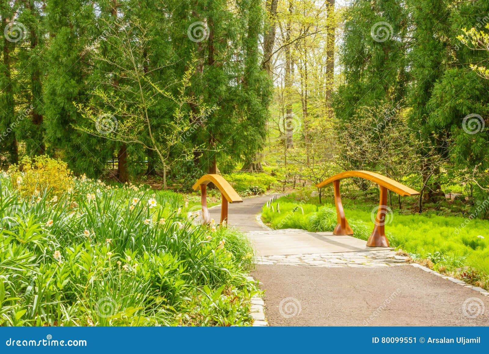 Small bridge over a stream stock image. Image of walkway - 80099551