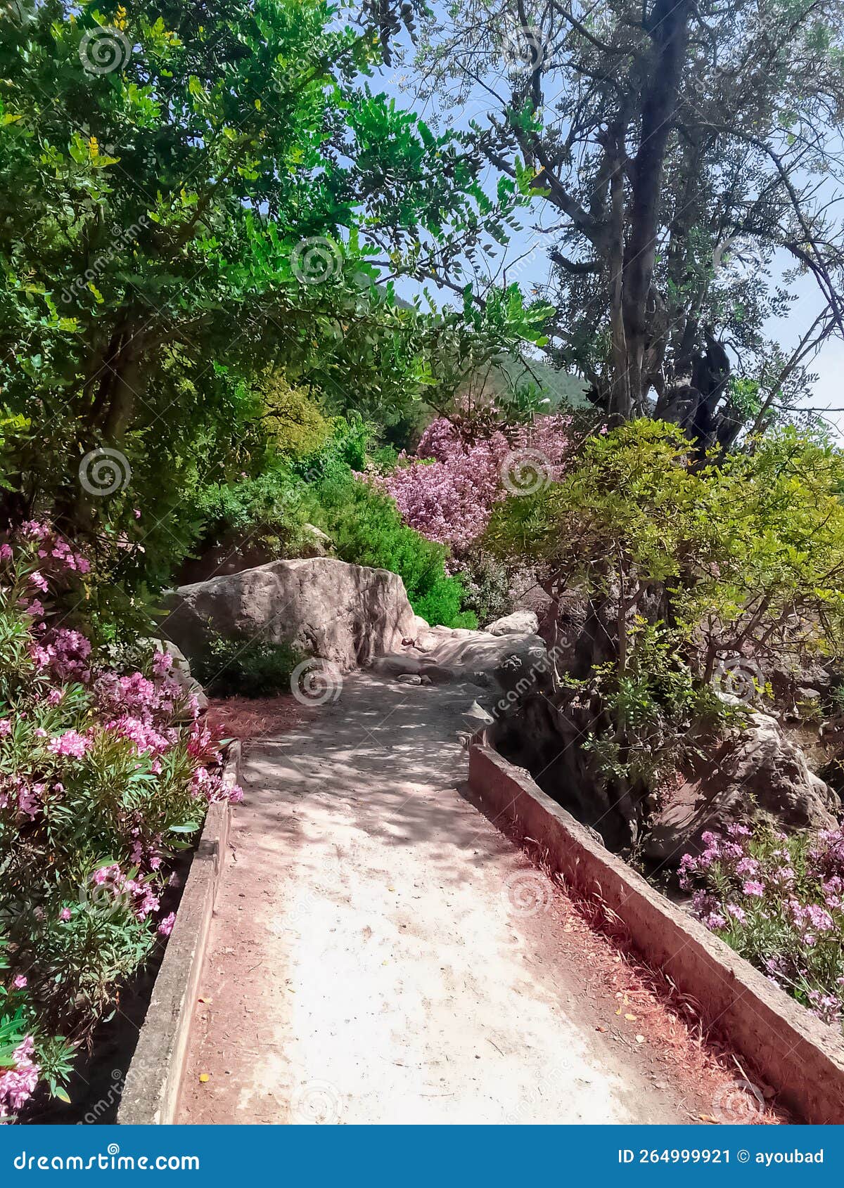 Small Bridge Over the Valley among the Flowers Stock Image - Image of ...