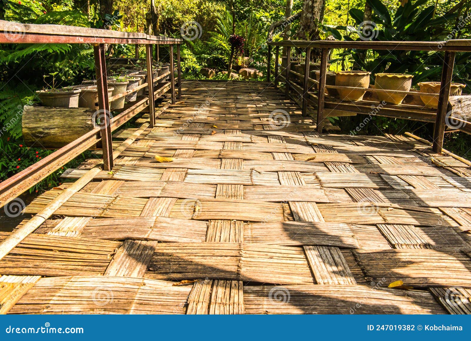 Park with small bridge stock photo. Image of nature - 247019382