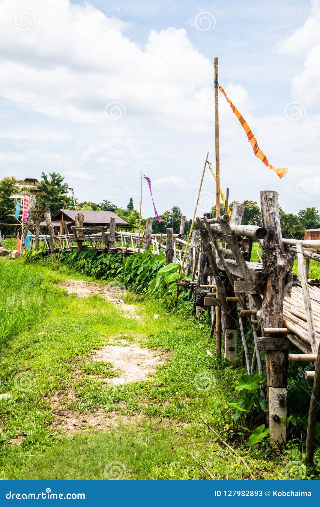 Small Bridge with Rice Field Stock Image - Image of outdoor, lanna ...