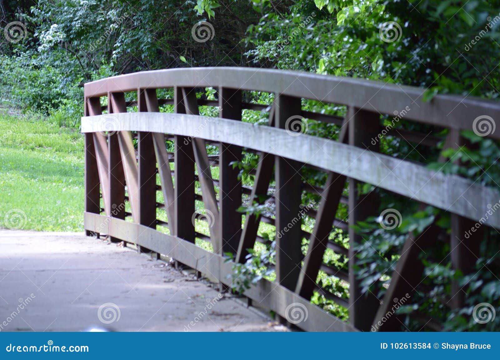 Small Bridge stock photo. Image of bridge, nature, small - 102613584