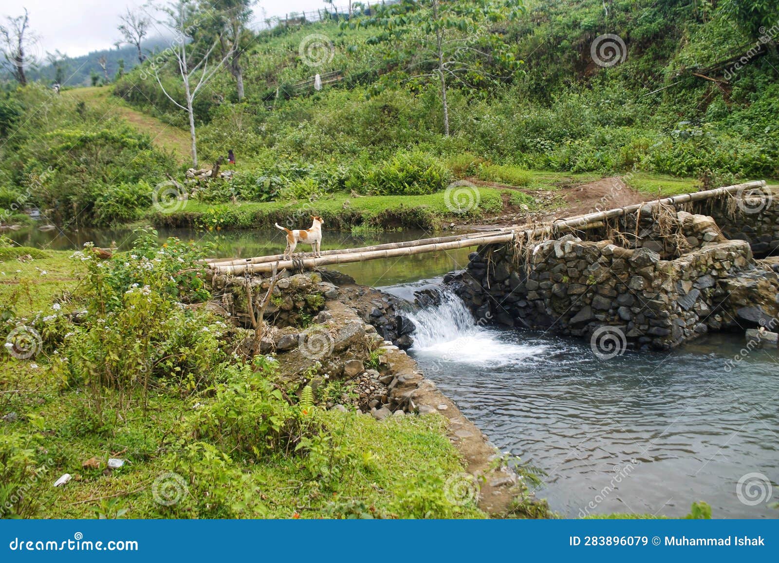 A Small Bridge that Spans Over the River To Connect the Road. Stock ...