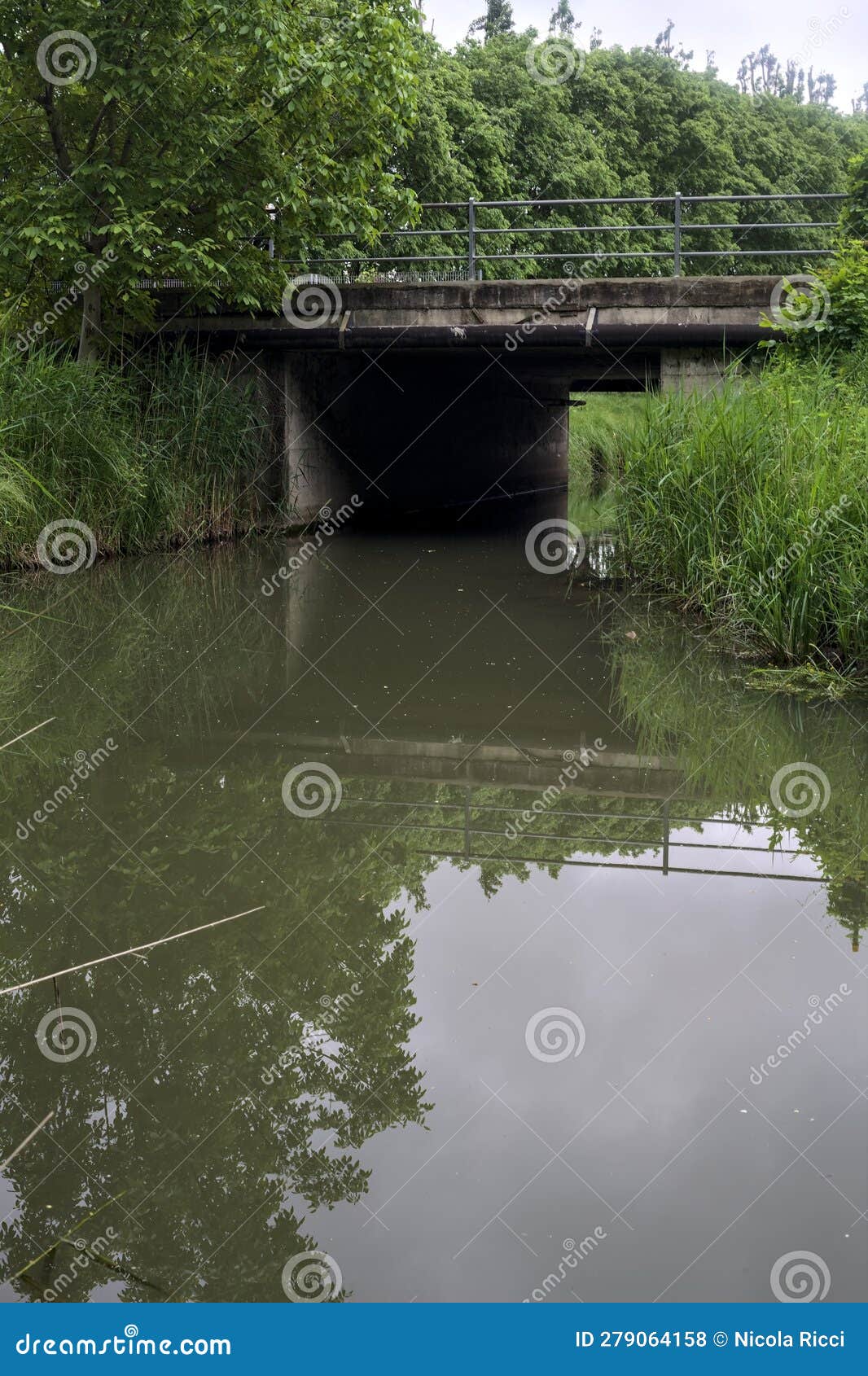 Small Bridge with a Tree Next To it Over a Brook on a Rainy Day in the ...
