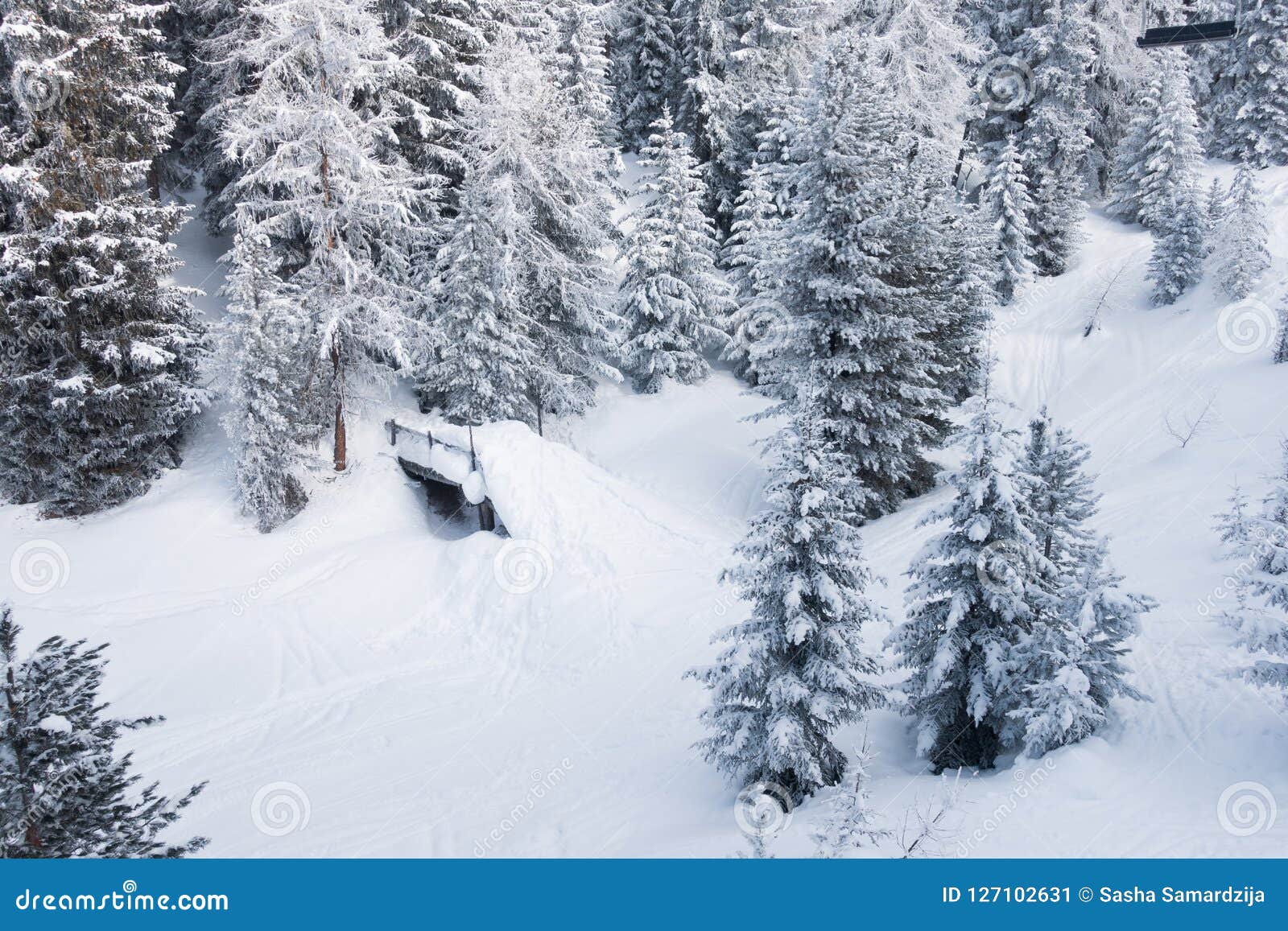 Small Bridge Under Deep Snow in Woods Stock Image - Image of crystal ...