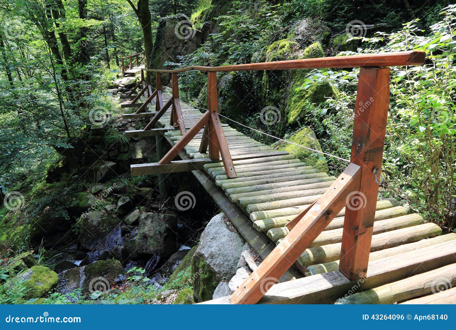 Small Bridge in the Valley of Munster Stock Photo - Image of forest ...