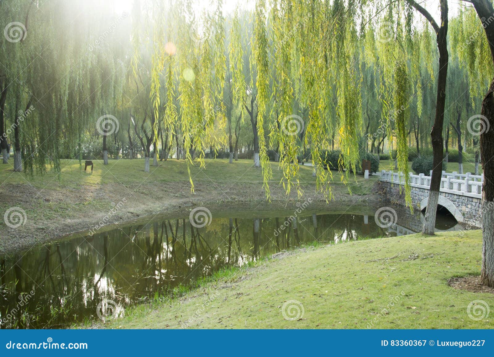 Small Bridges and Green Trees Stock Image - Image of unmanned ...