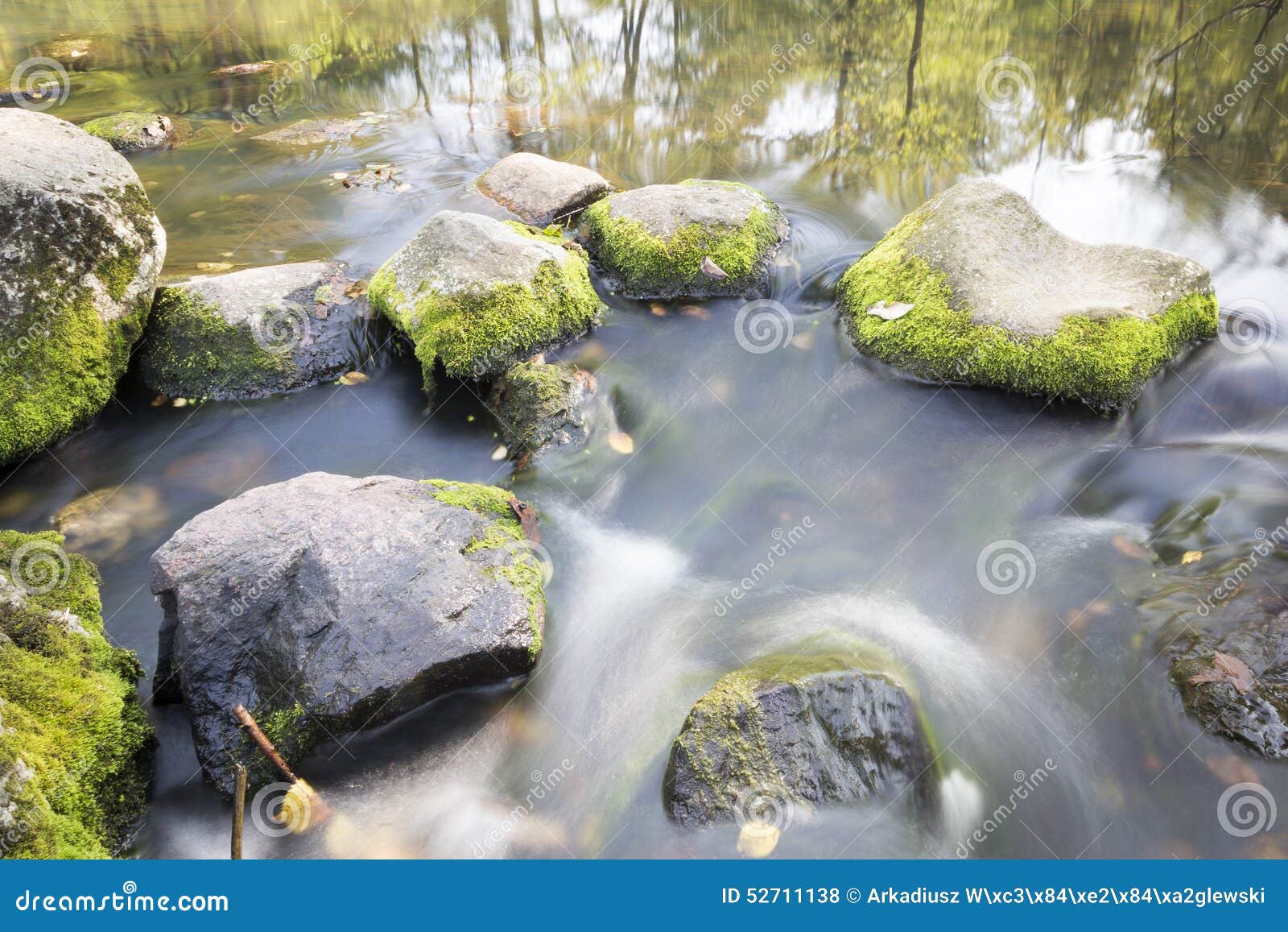 Small brook stock photo. Image of brook, flux, marshy - 52711138