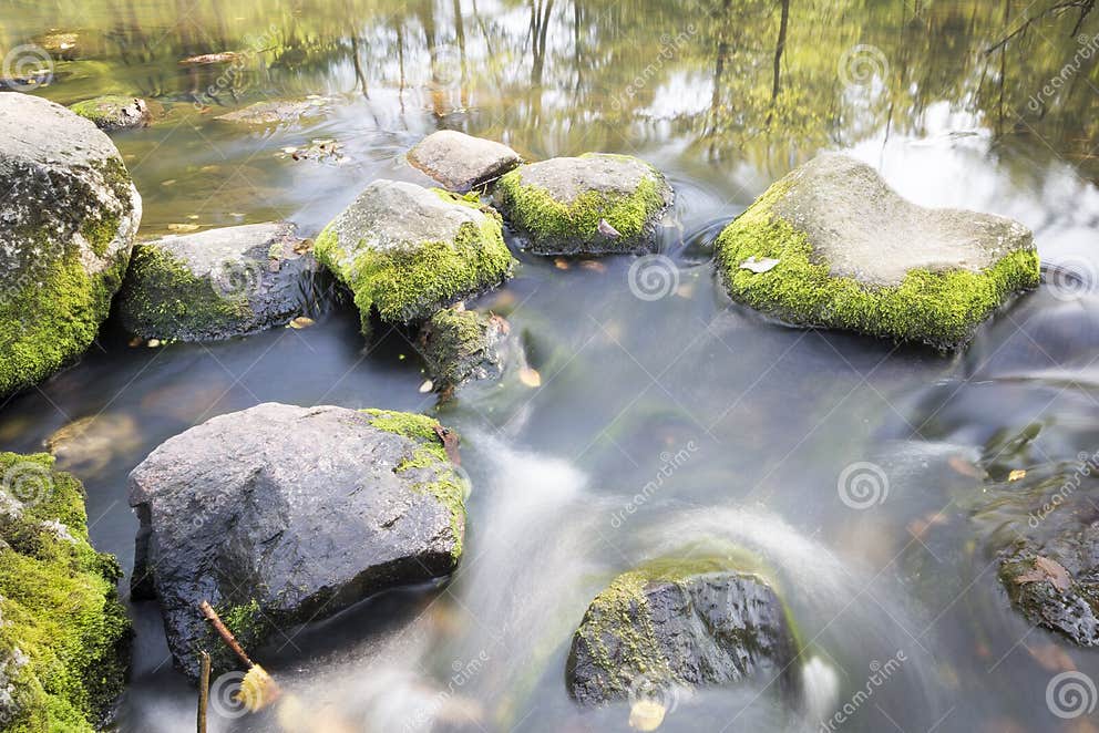 Small brook stock photo. Image of brook, flux, marshy - 52711138
